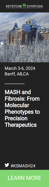 MASH and Fibrosis: From Molecular Phenotypes to Precision Therapeutics ...