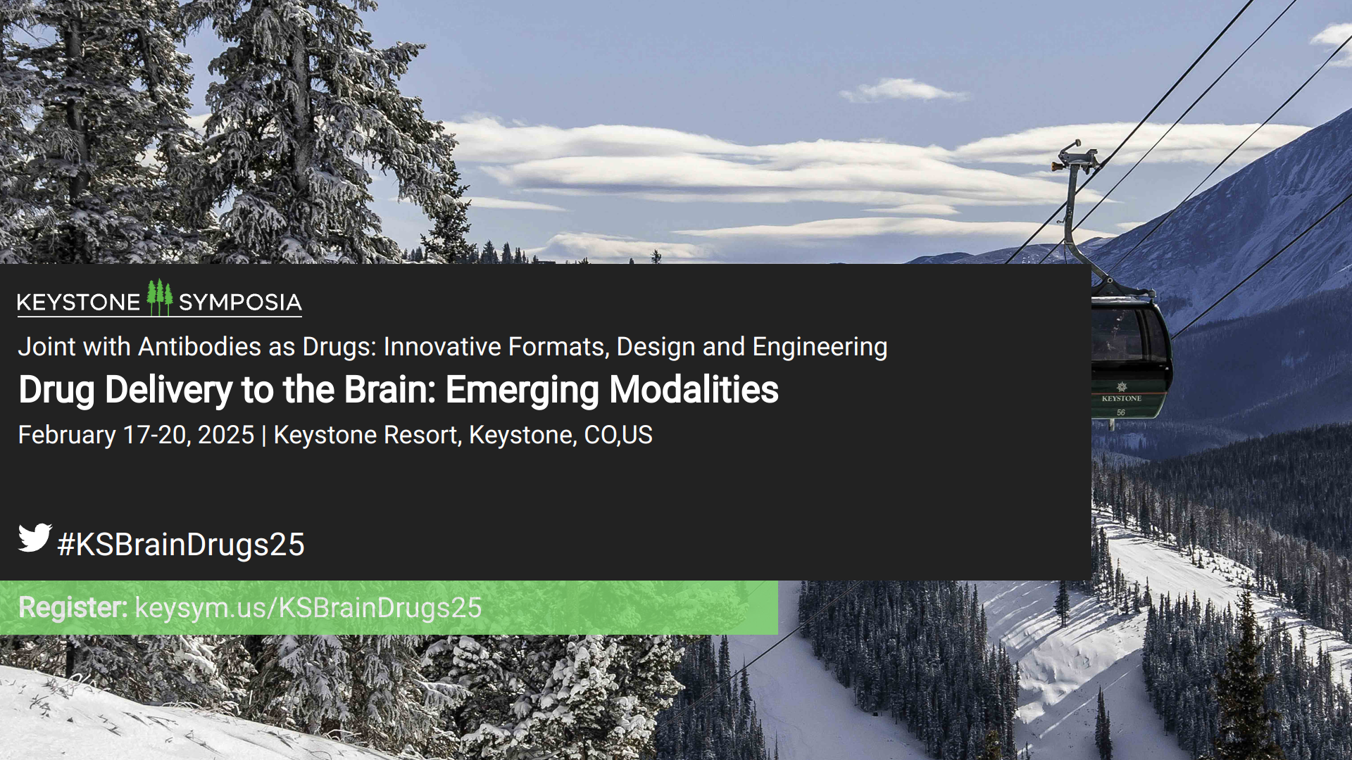 Drug Delivery to the Brain: Emerging Modalities | Keystone Symposia ...